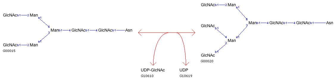 KEGG REACTION: R05987