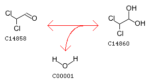 KEGG REACTION: R07095
