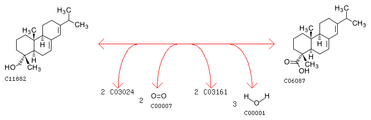 KEGG REACTION: R12122