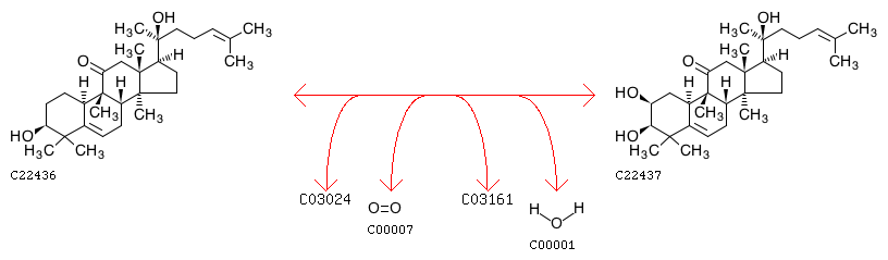 KEGG REACTION: R12832