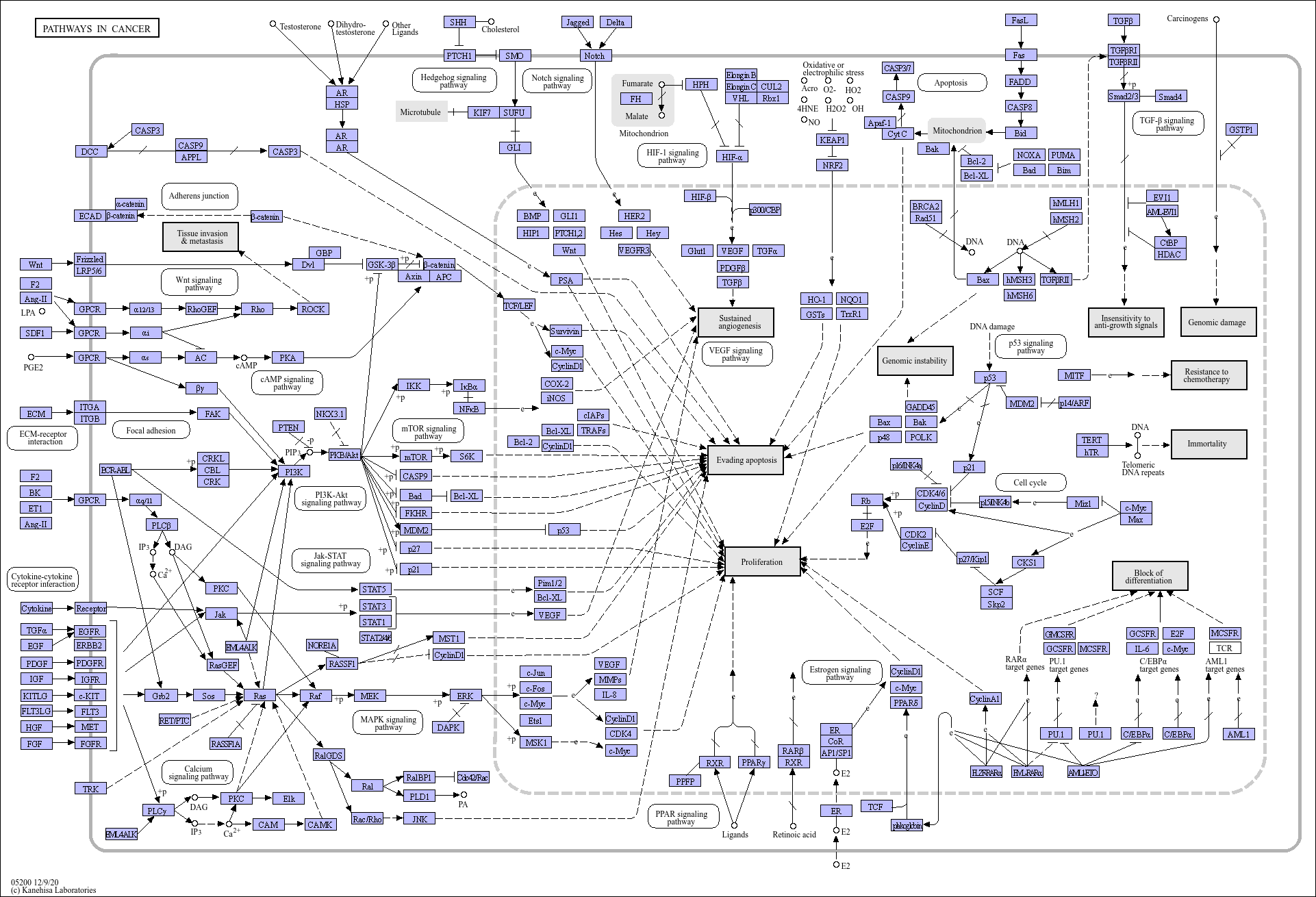 KEGG PATHWAY: Pathways in cancer KEGG PATHWAY: Pathways in cancer