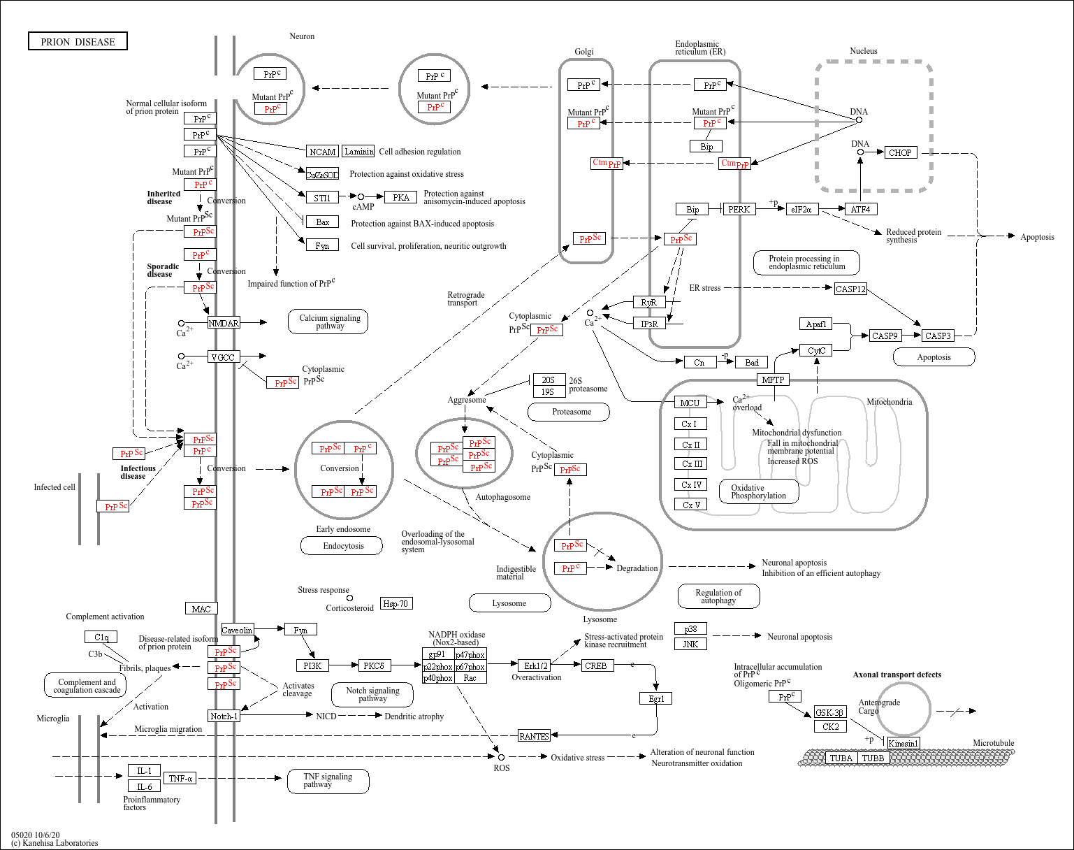 KEGG PATHWAY: Prion disease - Reference pathway