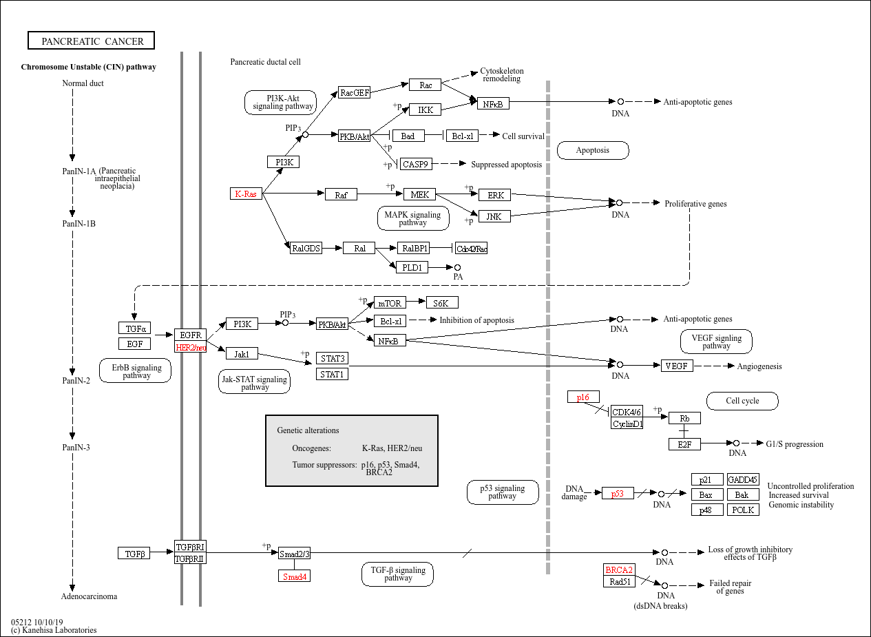 KEGG PATHWAY: Pancreatic cancer - Reference pathway KEGG PATHWAY: Pancreatic cancer - Reference pathway