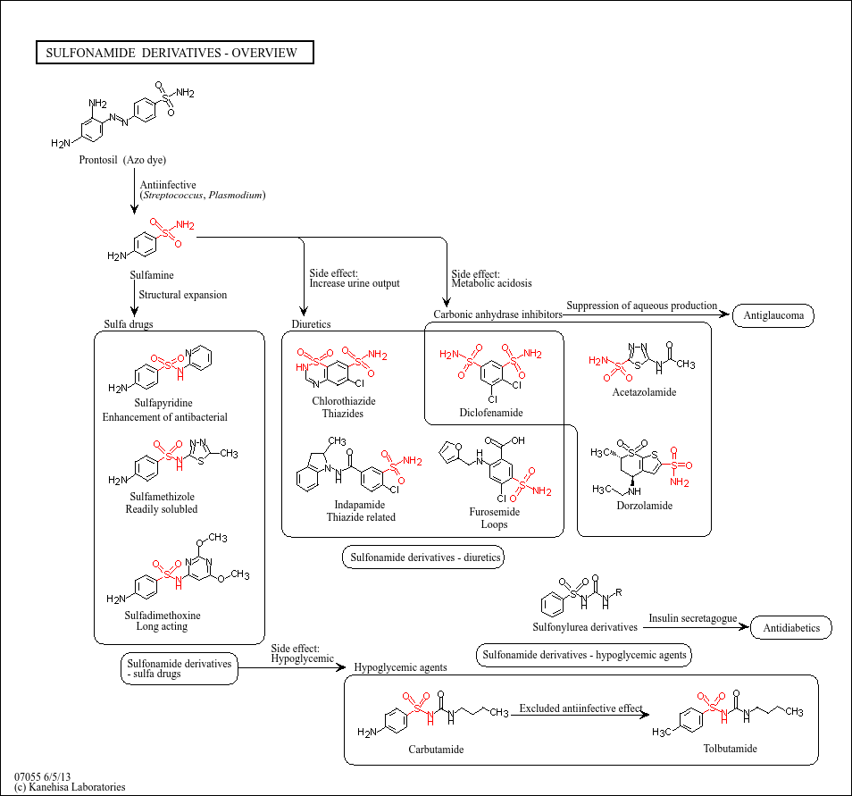 KEGG PATHWAY: Sulfonamide derivatives - overview - Reference pathway KEGG PATHWAY: Sulfonamide derivatives - overview - Reference pathway